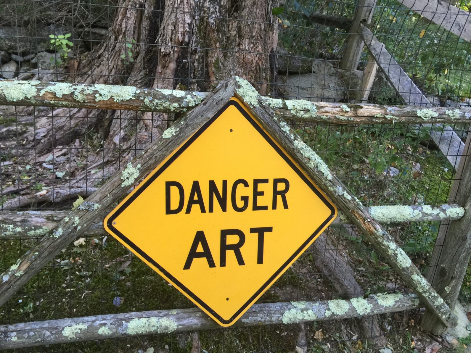 The Mallin Collection