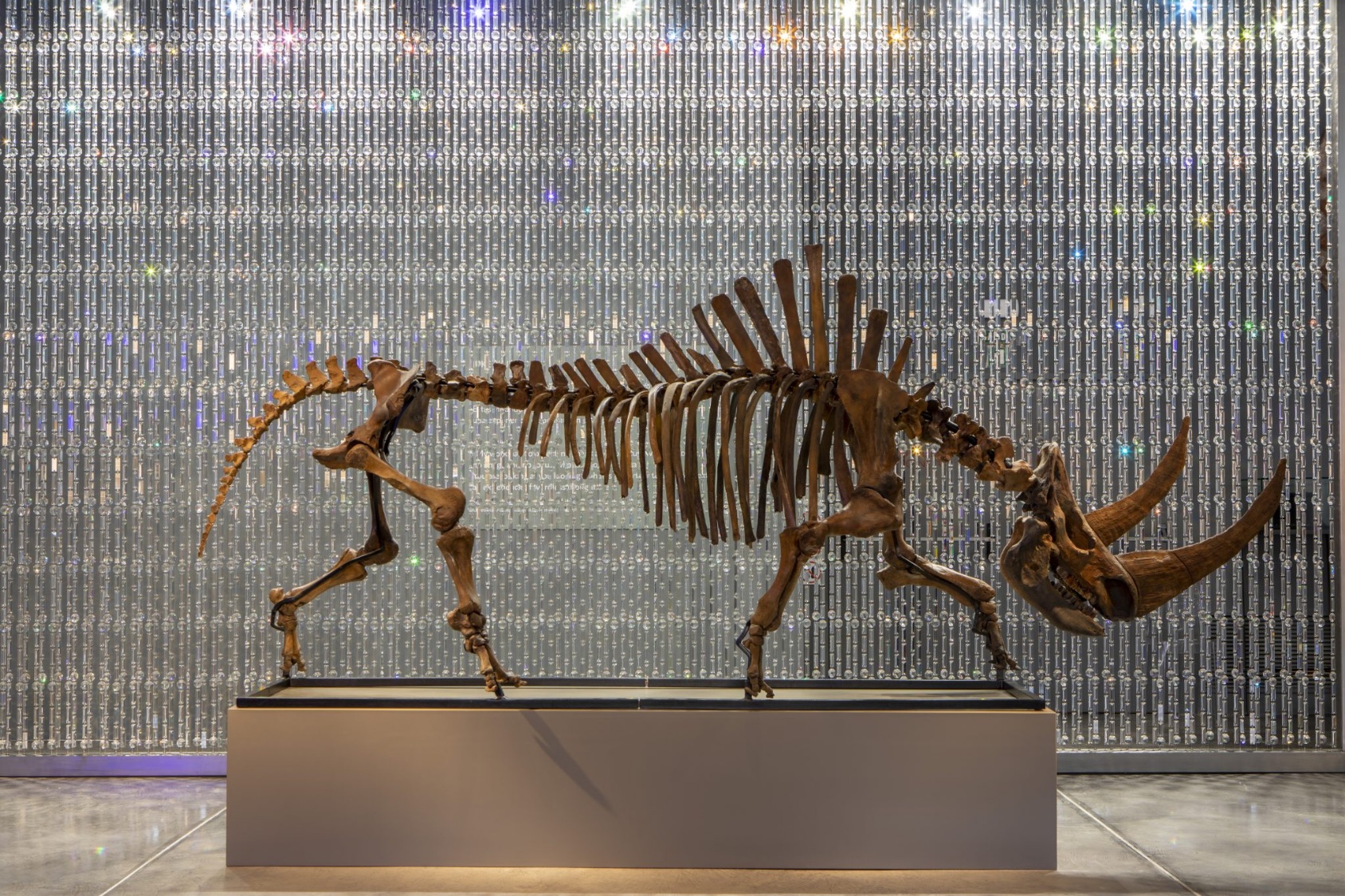 Yannick & Ben Jakober