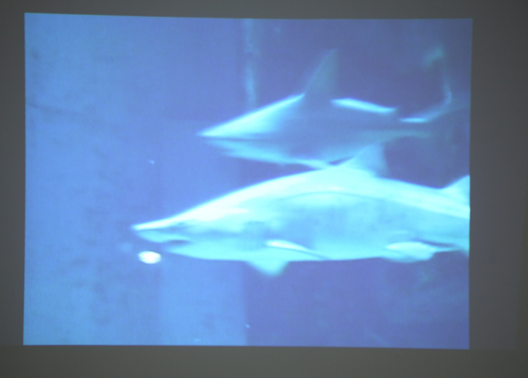 The Dikeou Collection – Part I