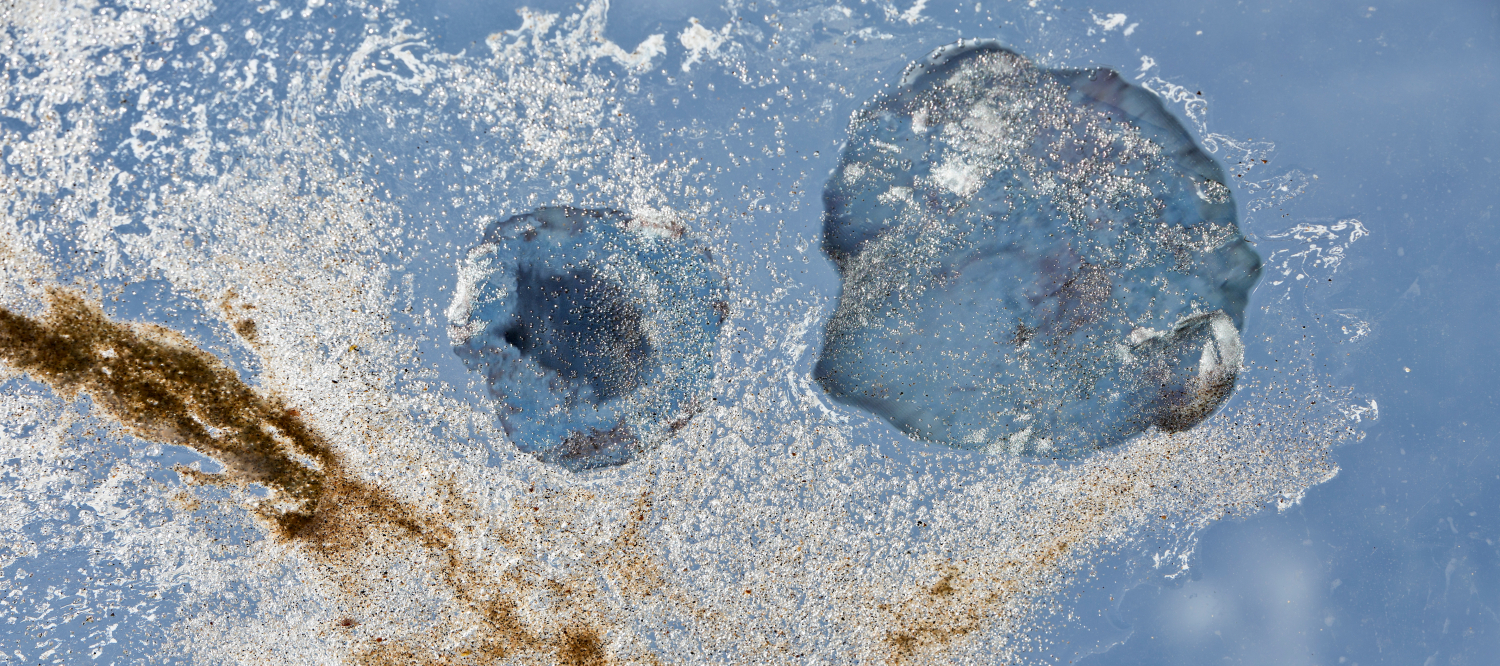 Nicky & Robert Wilson